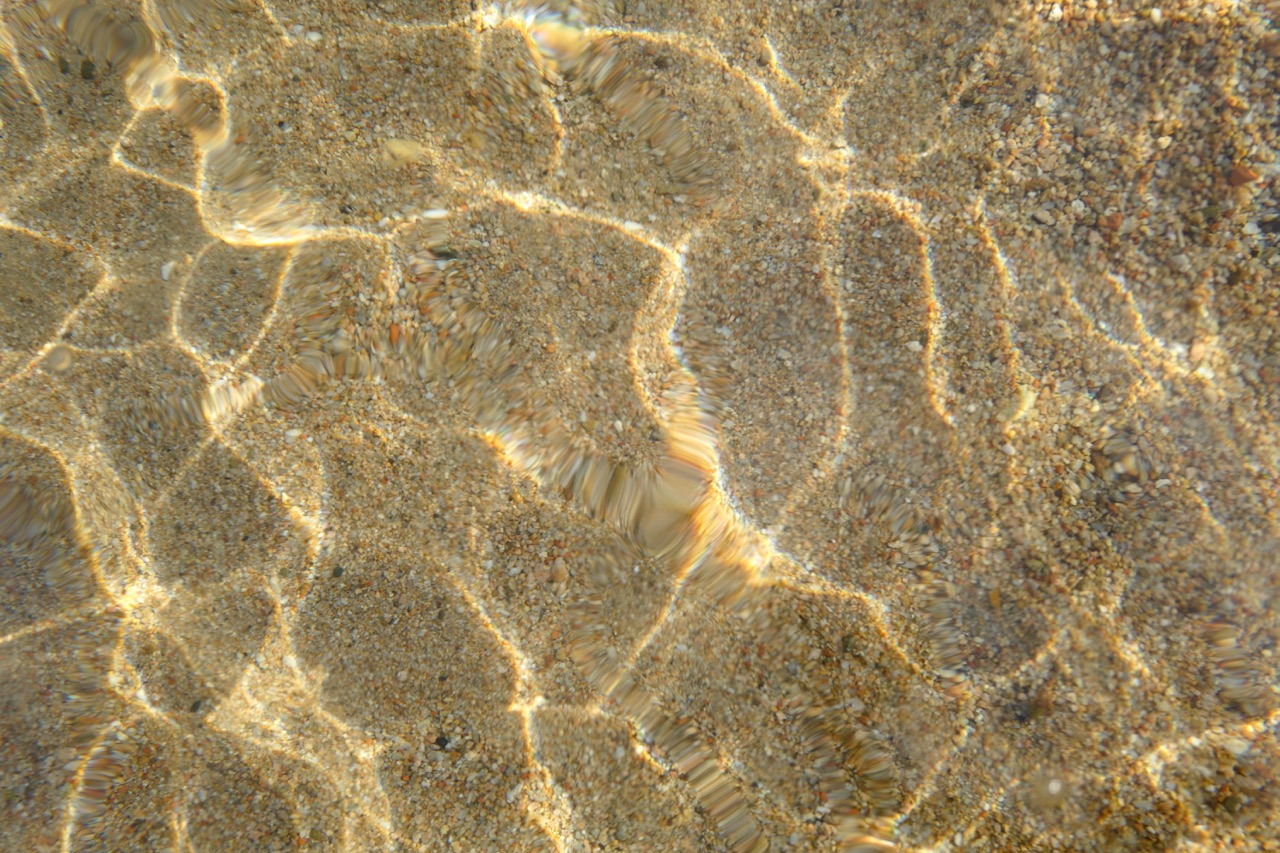 Sea-through | Claudias Gallery